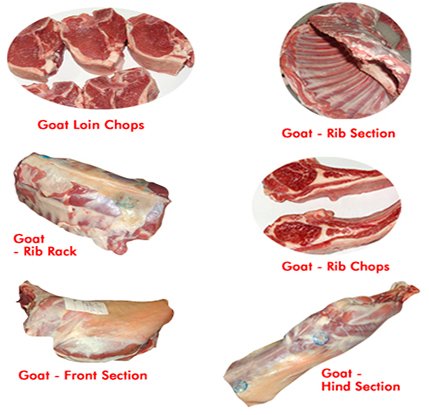 Goat Processing | Goat Cuts | Amery, WI