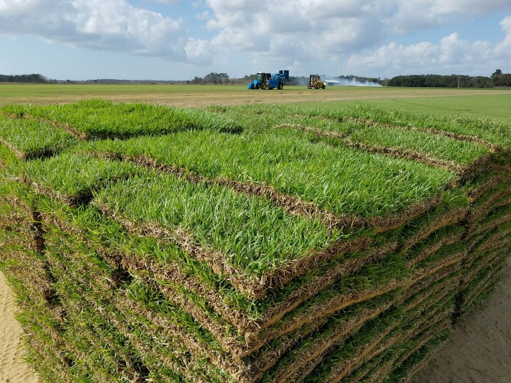 The Grass & Rock Shoppe | Landscaping Services Lafayette LA