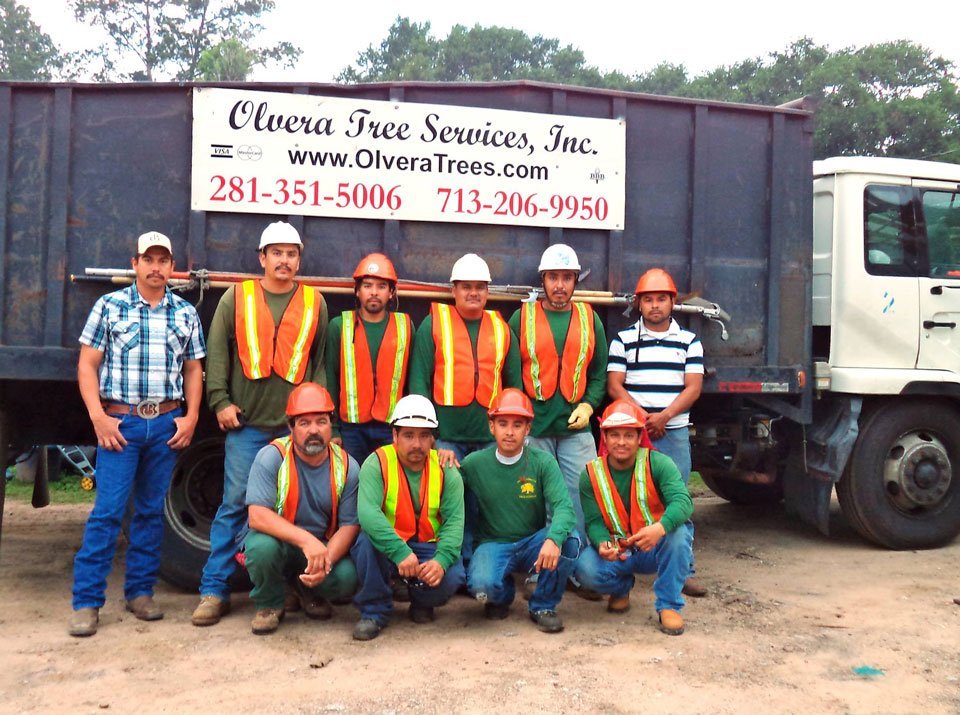 Olvera Lone Star Tree Service | Removals | Pruning | Tomball TX
