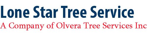 Olvera Lone Star Tree Service | Removals | Pruning | Tomball TX