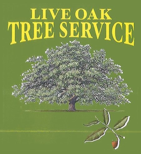 Live Oak Tree Service | Tree Service Provider | Oakland, NJ