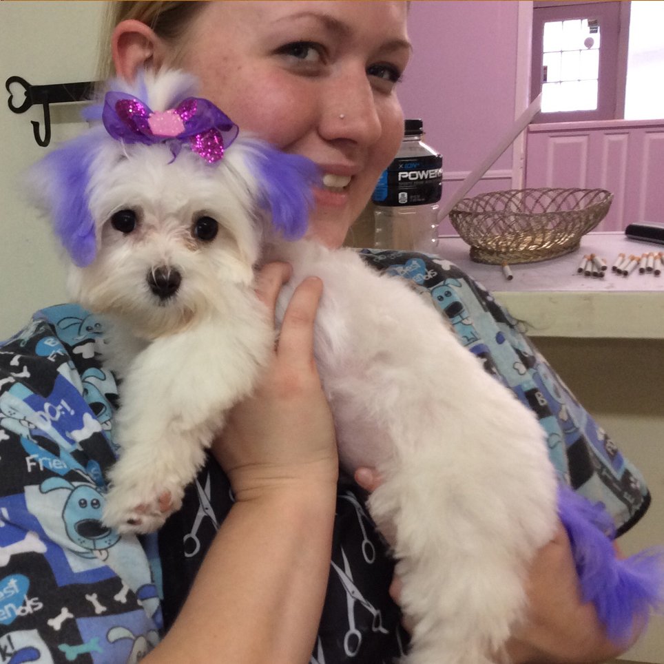 Clip N' Dip Pet Grooming Photo Gallery | Kennesaw, GA