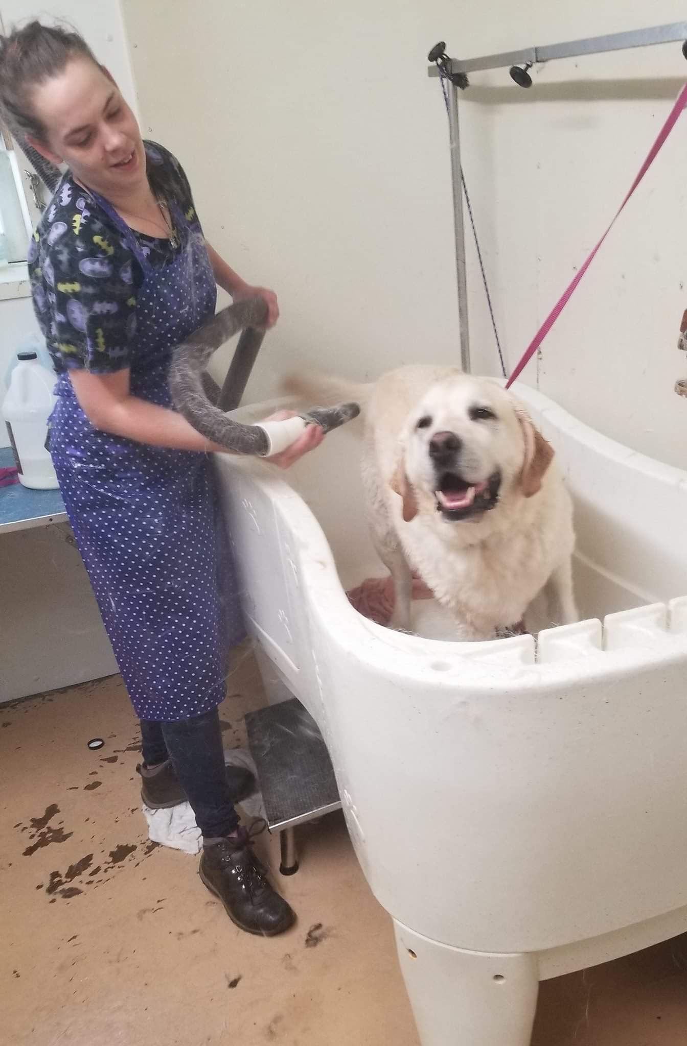 Clip N' Dip Pet Grooming Photo Gallery | Kennesaw, GA