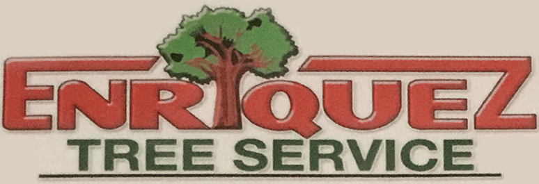 Enriquez Tree Service | Tree Removal Freehold, NJ | Tree service