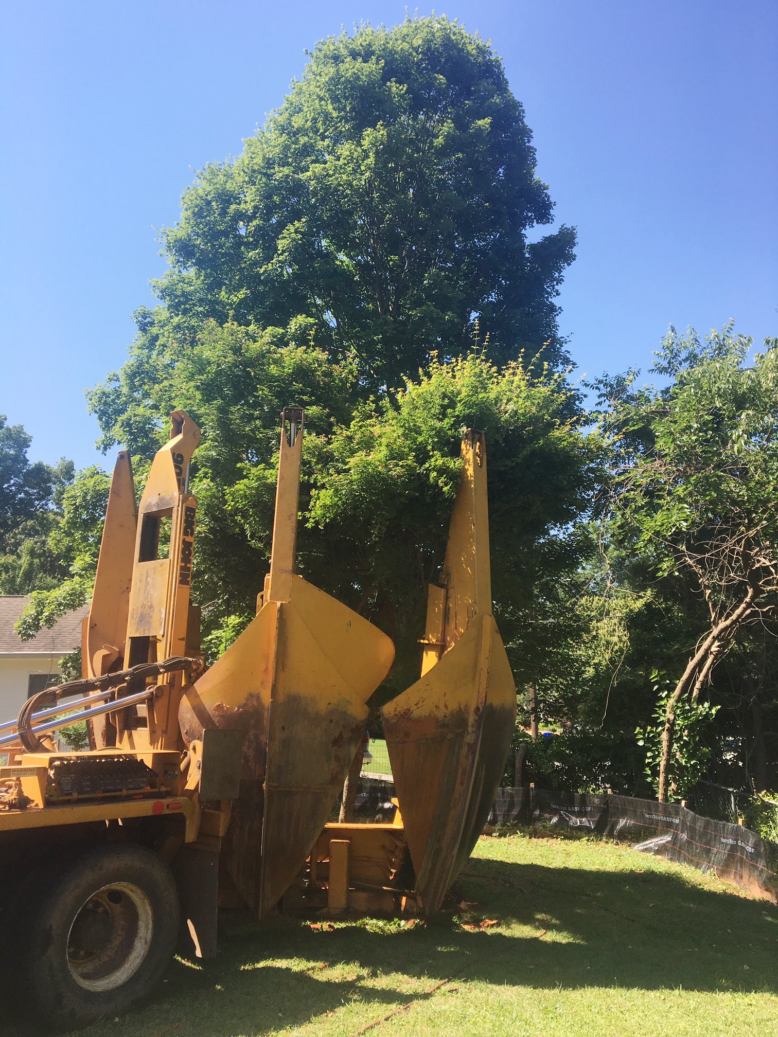 Tree Arborist-Tree moving service Arborist serving metro Atlanta ...