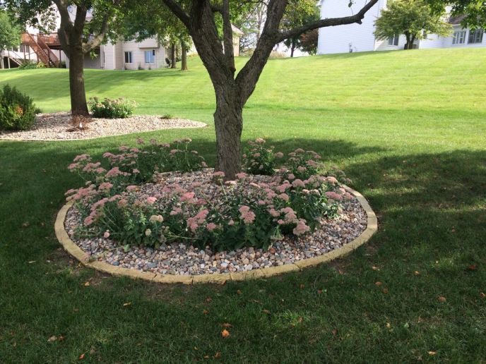 Solid Rock Landscaping LLC Tree Rings | Portfolio | West Des Moines