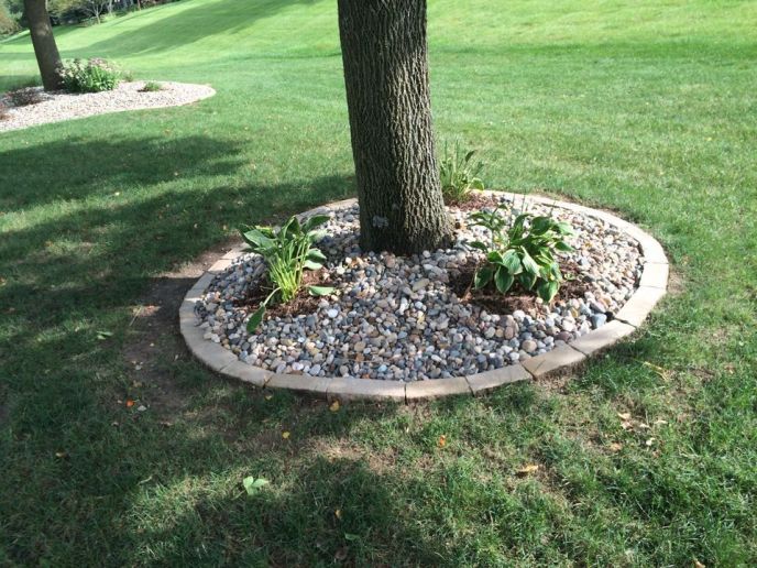Solid Rock Landscaping LLC Tree Rings | Portfolio | West Des Moines