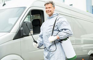 Chief Pest Control | Pest Control Services | Arlington, TX