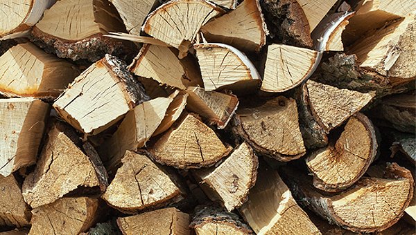 JW Faulk Inc | Tree Removal | Framingham, MA