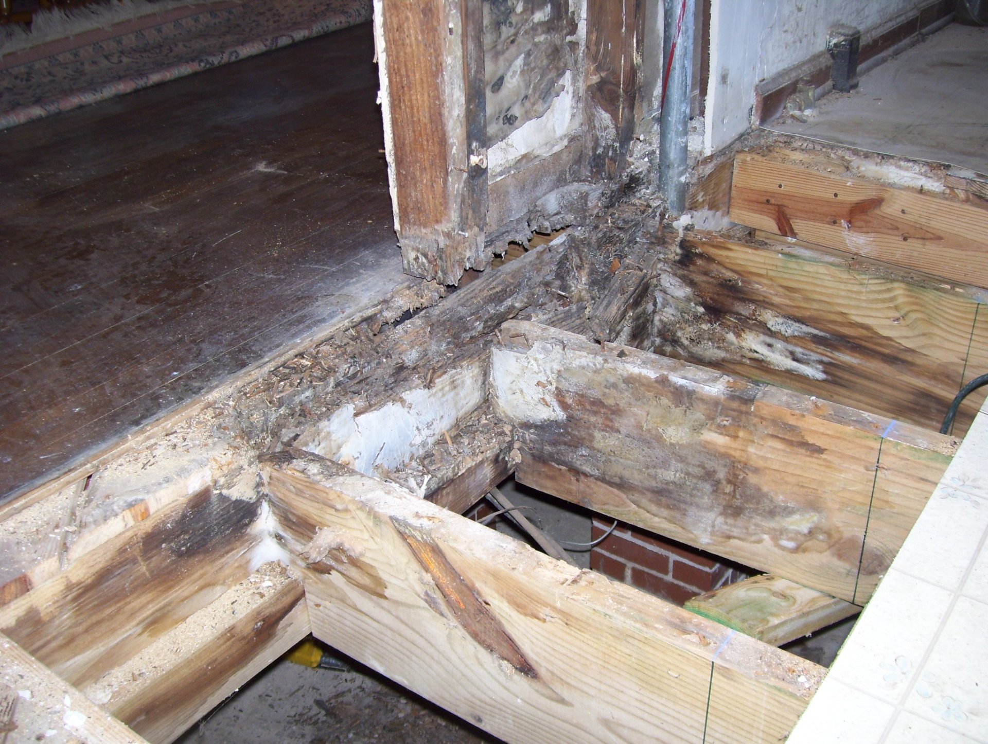 Exterior Damage Repair | Termite Damage Repair | Forsyth, GA