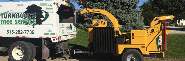 Tree Services | Tree Removal | Norwalk, IA