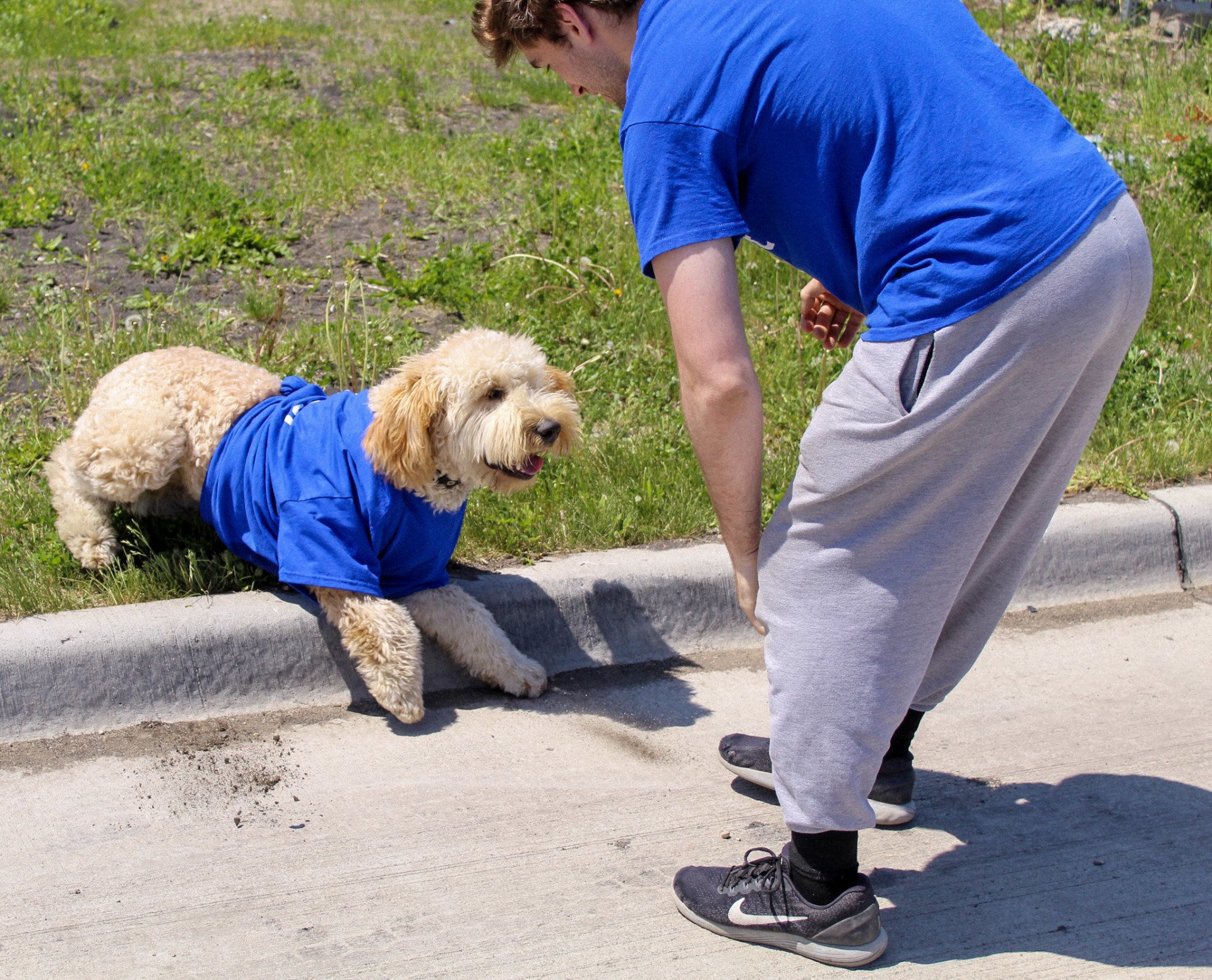 How to Move With Pets