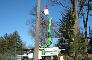 Conserv-A-Tree | Tree Services | Huntington Station, NY