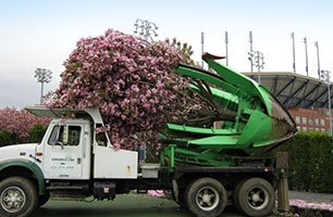 Conserv-A-Tree | Tree Services | Huntington Station, NY
