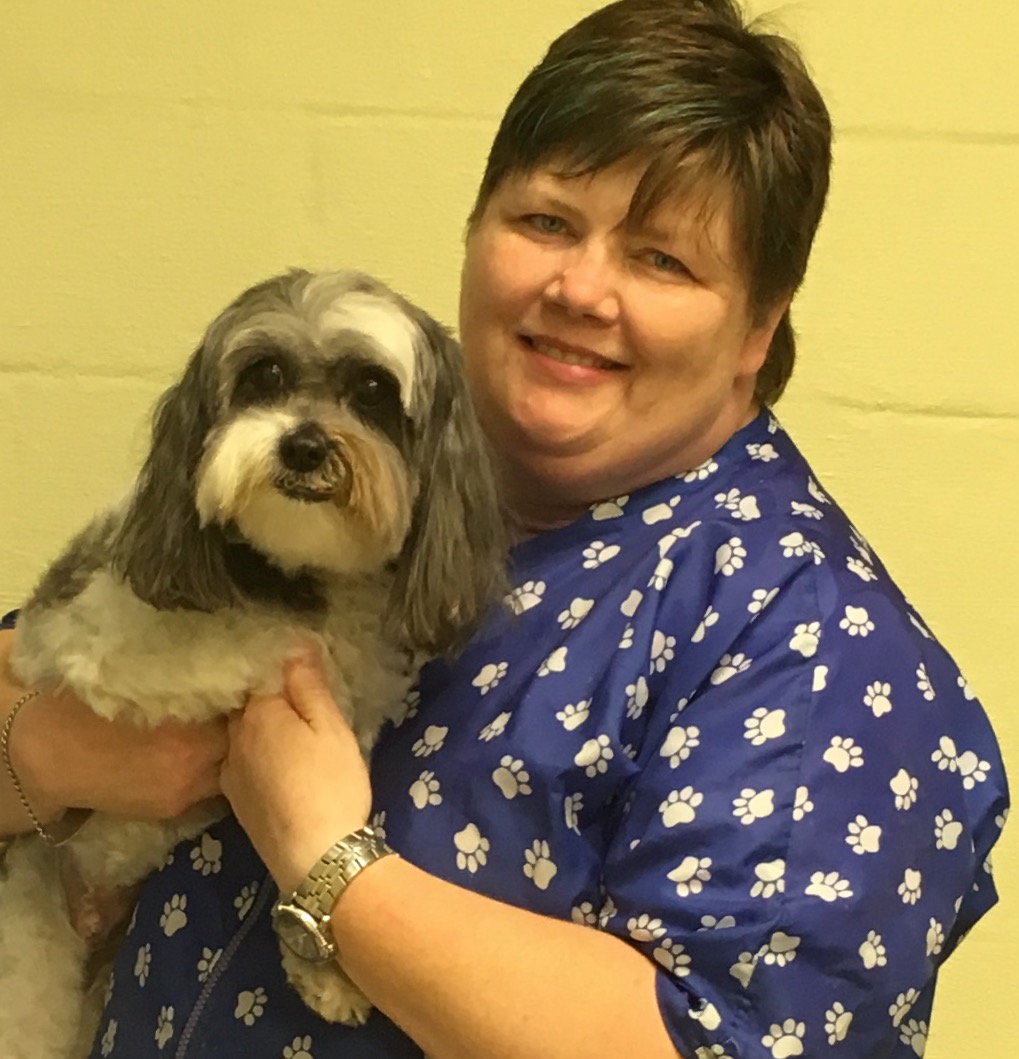 About Laurel Hill Kennels | Hanover, PA Kennel