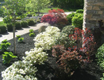 JBJ Landscaping Service, LLC - Landscapes | Danbury, CT
