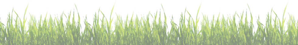 JBJ Landscaping Service, LLC - Landscapes | Danbury, CT