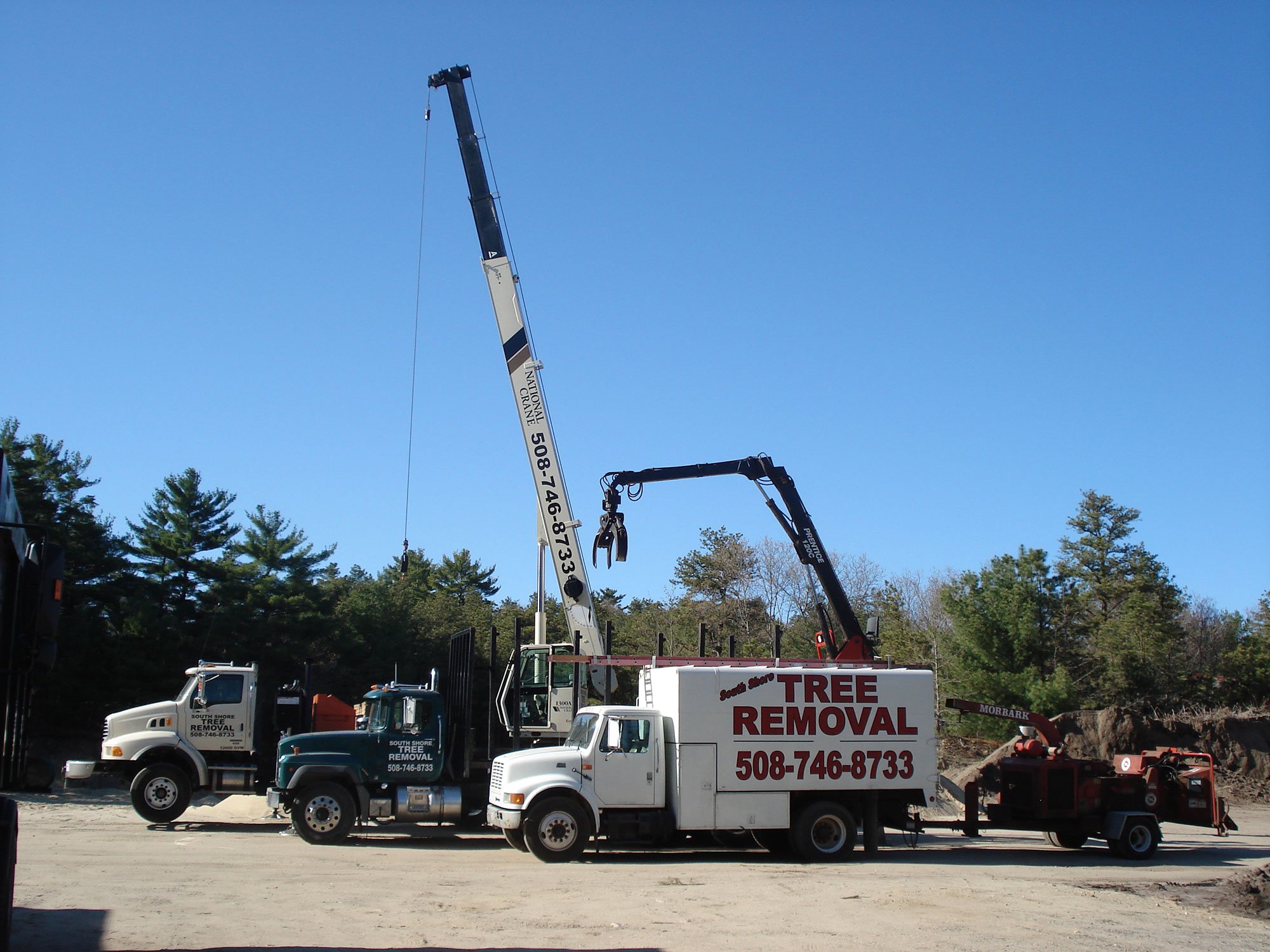 Gallery - South Shore Tree Removal Inc.