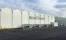 Dave Brooks Electric Inc. | Electrician | Staunton, VA