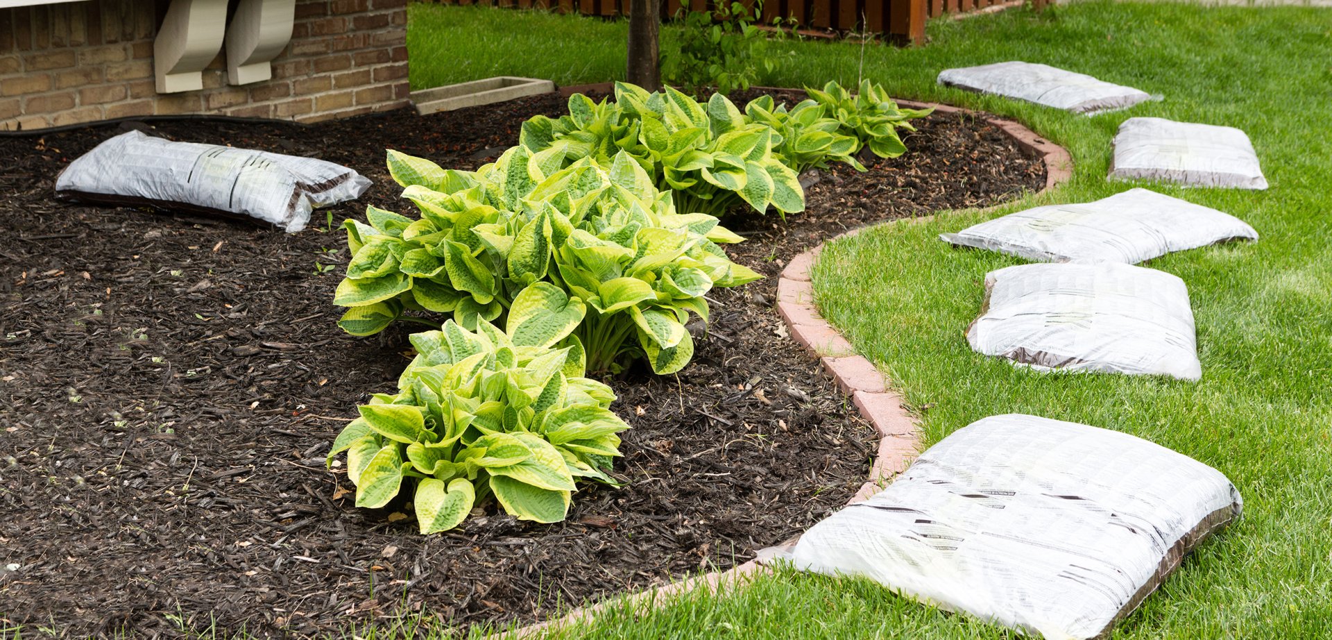 Skyfall Landscaping | Landscape Designer Burlington County