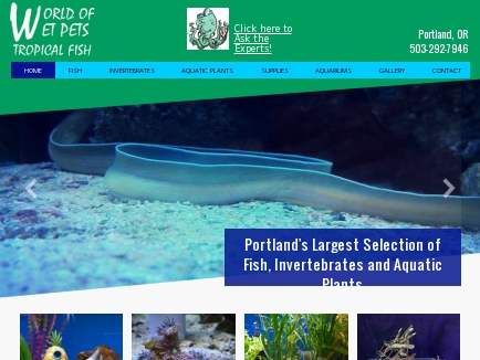 World of Wet Pets Tropical Fish Aquatic Store Portland OR