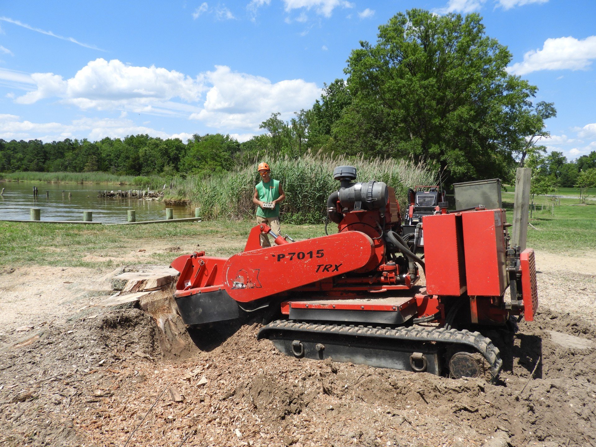 Tree Removal | Stump Grinding | La Plata, MD | Waldorf, MD