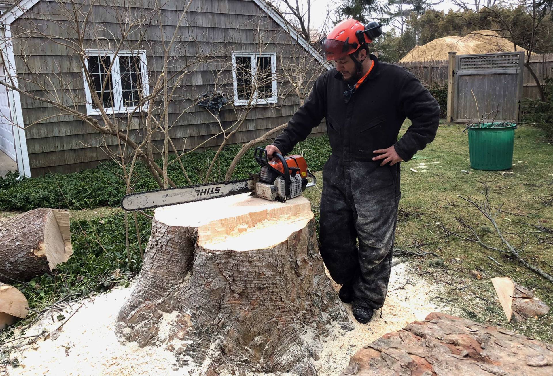 Mark Daniels Tree Service | Tree Removal | Pruning | East Hampton, NY