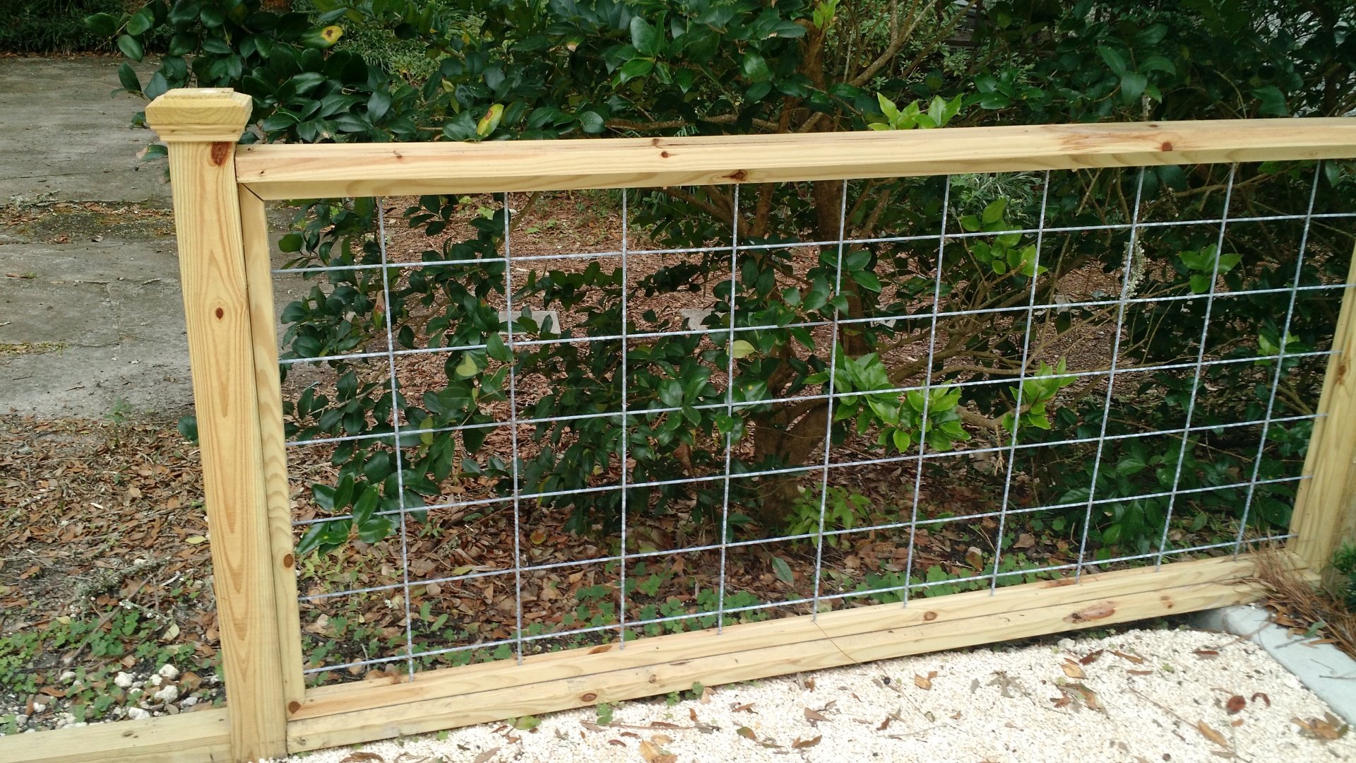 Chain-Link Fencing | Wooden Fences | Jesup, GA