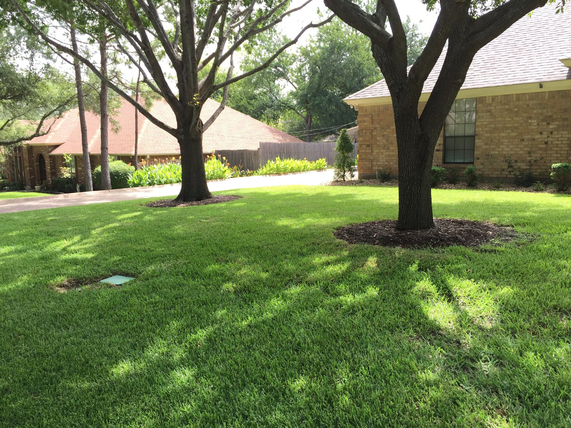 Lawn Tech Inc Photo Gallery | Cleburne, TX