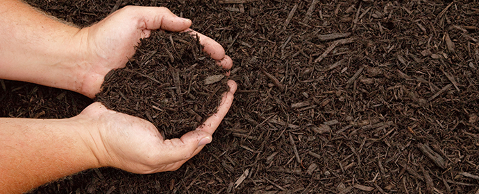 Cedar Mulch | Root Mulch | Red and Black | Middlesex County, NJ