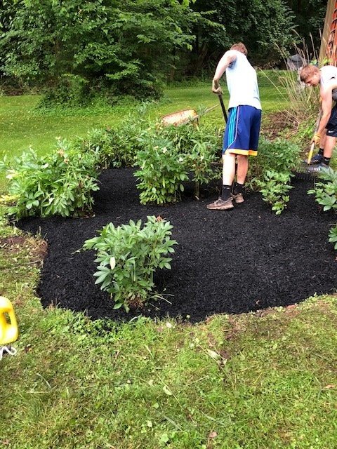 Mulching Work | Mulch Application | York, PA