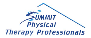 Summit Physical Therapy Professionals, Inc. - Physical Therapy Bay City, MI