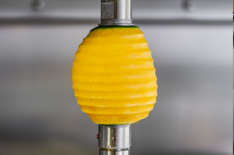 Melon Peeler | Pre-Pack Machinery
