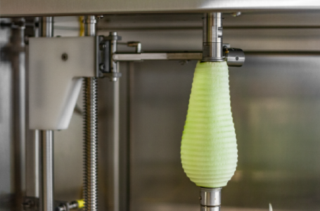 Melon Peeler | Pre-Pack Machinery