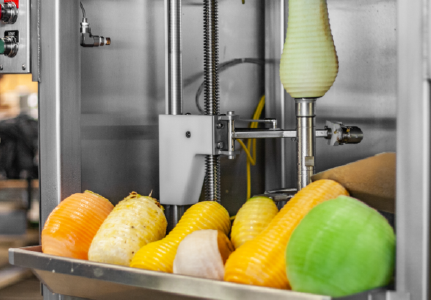 Melon Peeler | Pre-Pack Machinery