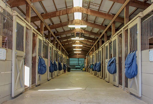 4C Stables Inc | Horse Boarding Facility | Midland, TX