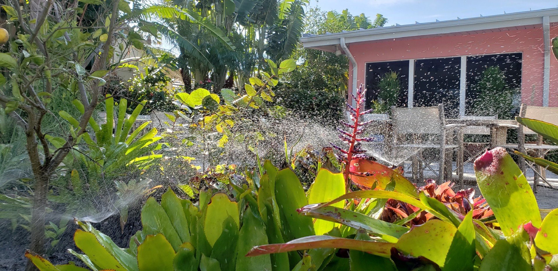 The Sprinkler Man Inc | Lawn and Landscape Irrigation | Naples, FL