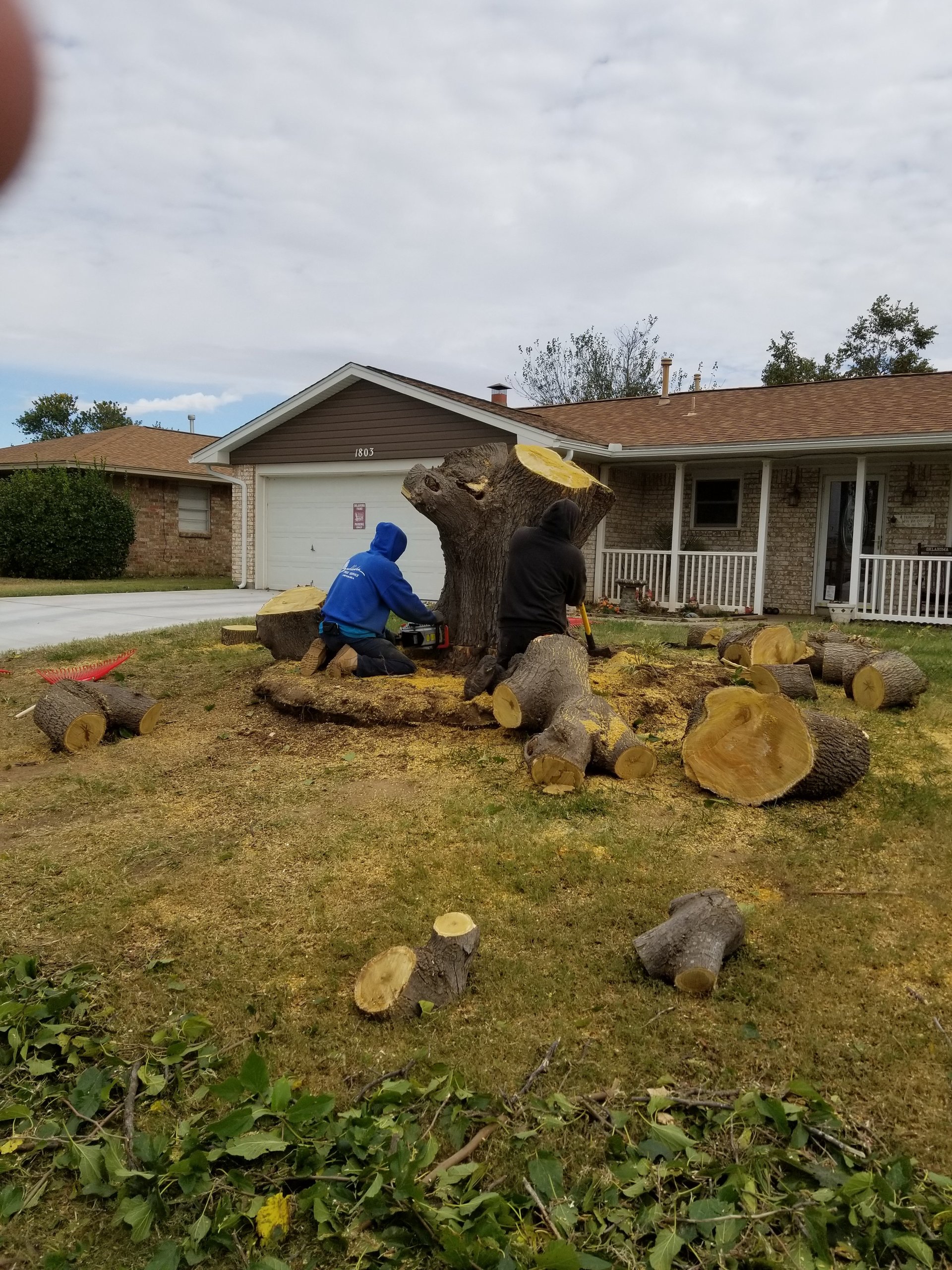 Sullivan Tree Service | Lawn Care Services | Lawton, OK