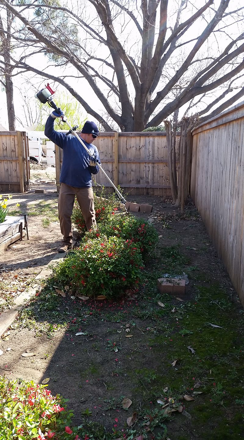 Sullivan Tree Service | Lawn Care Services | Lawton, OK