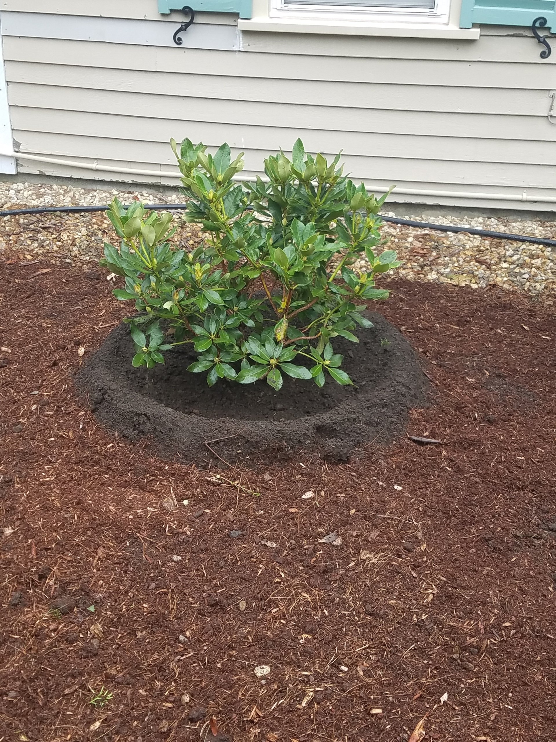 Lawn Boss Landscaping LLC | Reviews