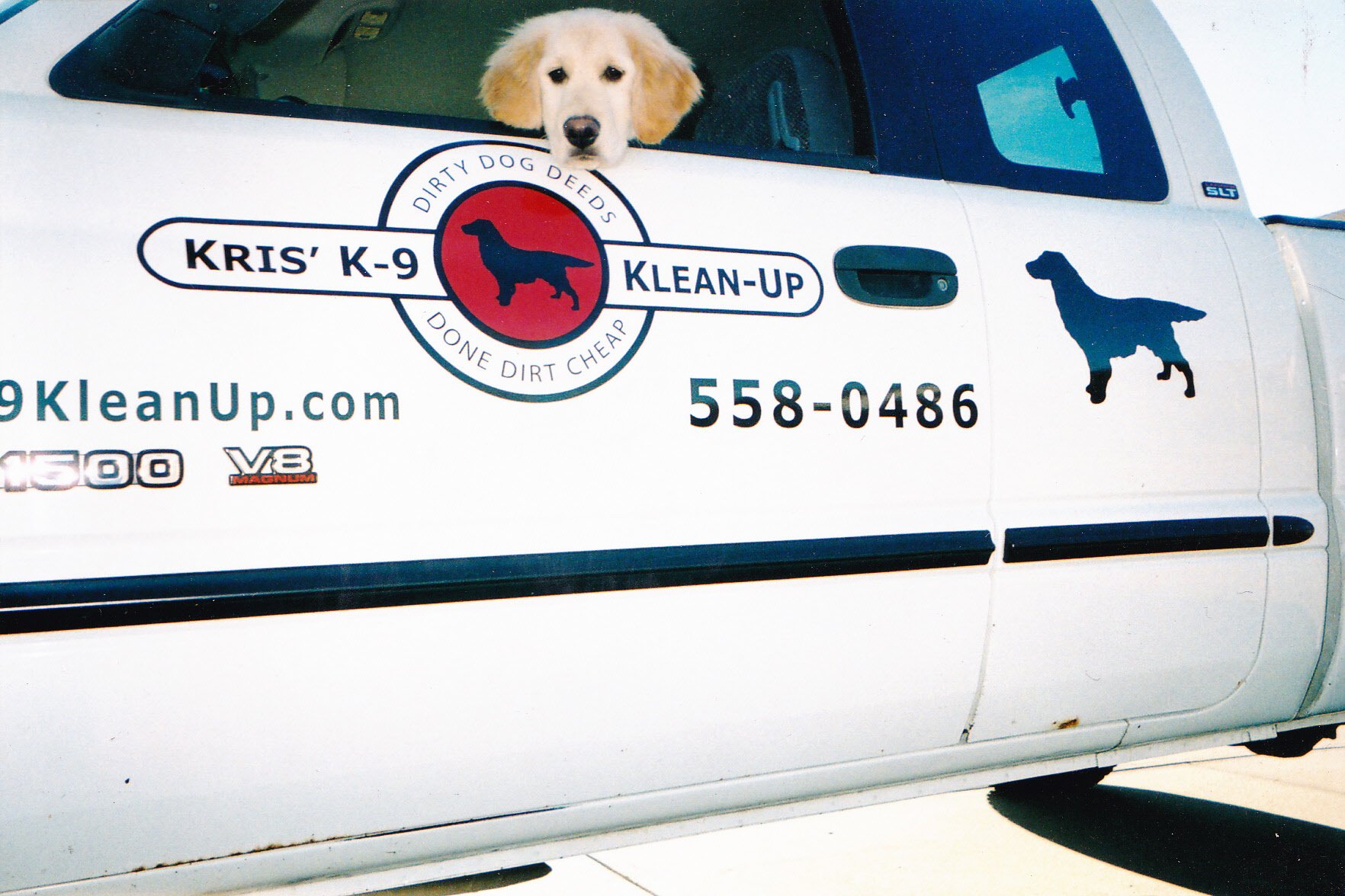 Kris' K-9 Klean Up Gallery | Omaha, NE