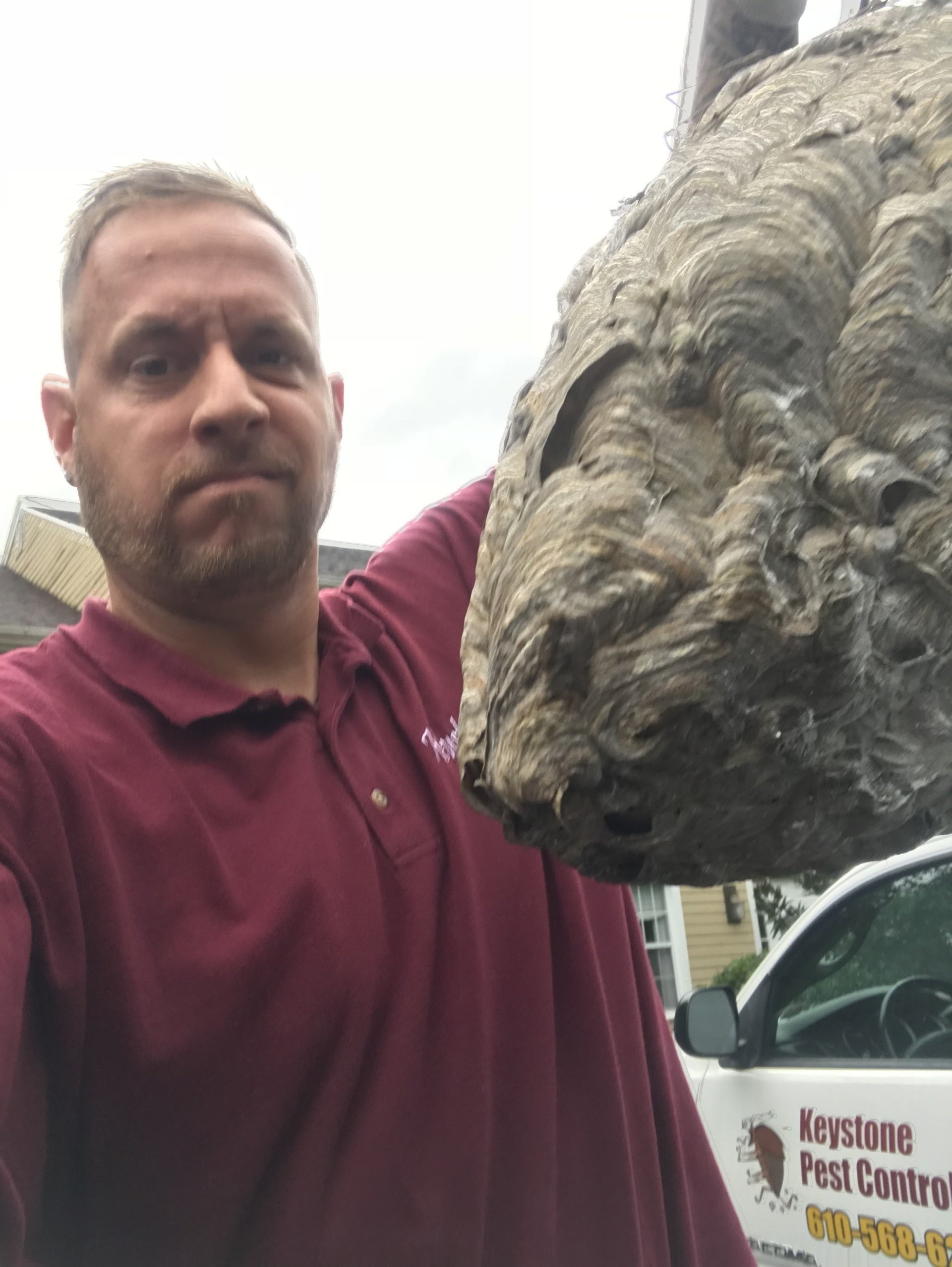 About Keystone Pest Control | Reading, PA Pest Treatment