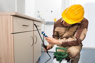 Keystone Pest Control | Pest Removal | Reading, PA