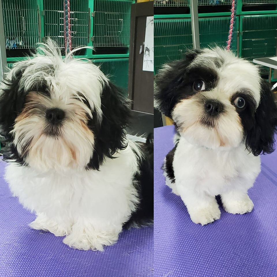 Sit Stay Spa Fargo Photo Gallery | West Fargo, ND