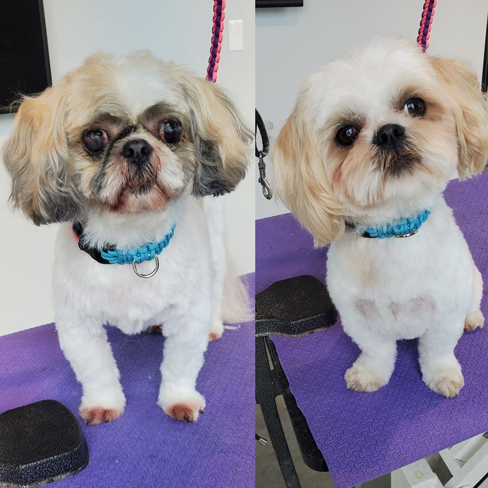 Sit Stay Spa Fargo Photo Gallery | West Fargo, ND