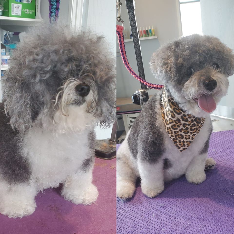 Sit Stay Spa Fargo Photo Gallery | West Fargo, ND