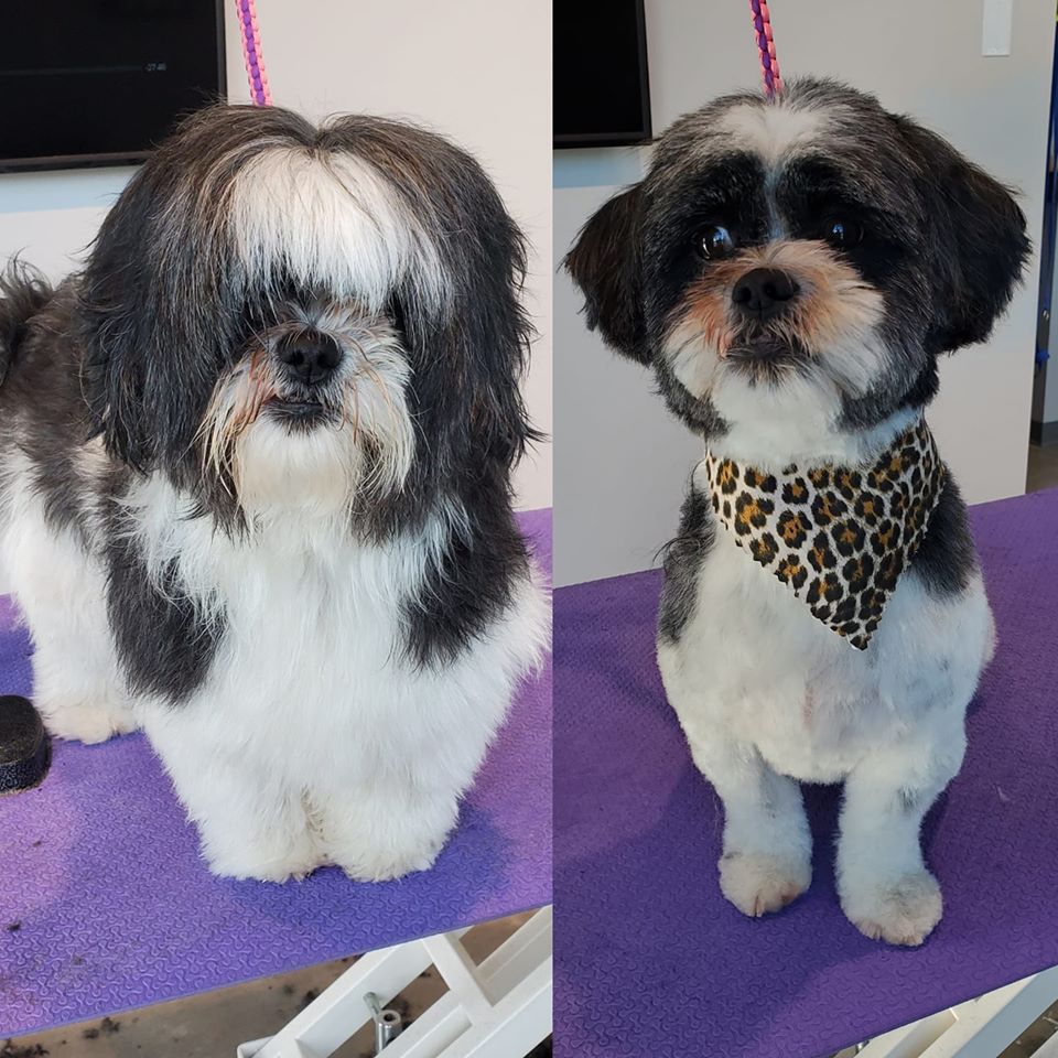 Sit Stay Spa Fargo Photo Gallery | West Fargo, ND