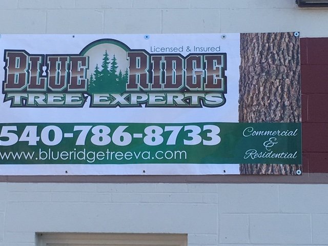 Blue Ridge Tree Experts Gallery | Spotsylvania, VA