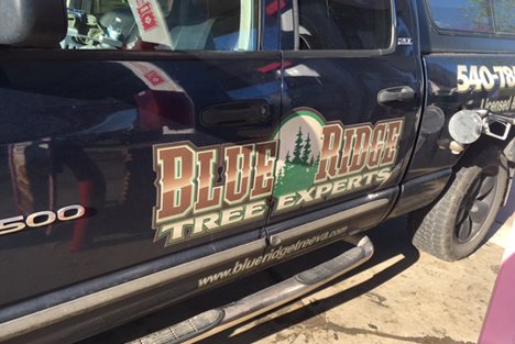 About Blue Ridge Tree Experts | Spotsylvania VA Tree Service