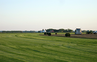 Olson Sod Farms LLC | Bluegrass | Meckling, SD